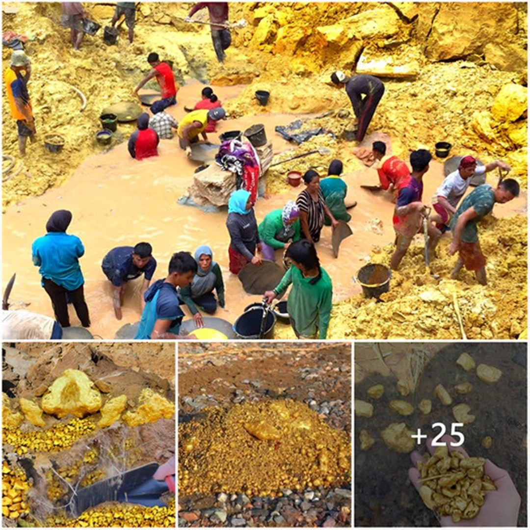 “A billion-year-old gold mine known as Treasure Mountain” - News