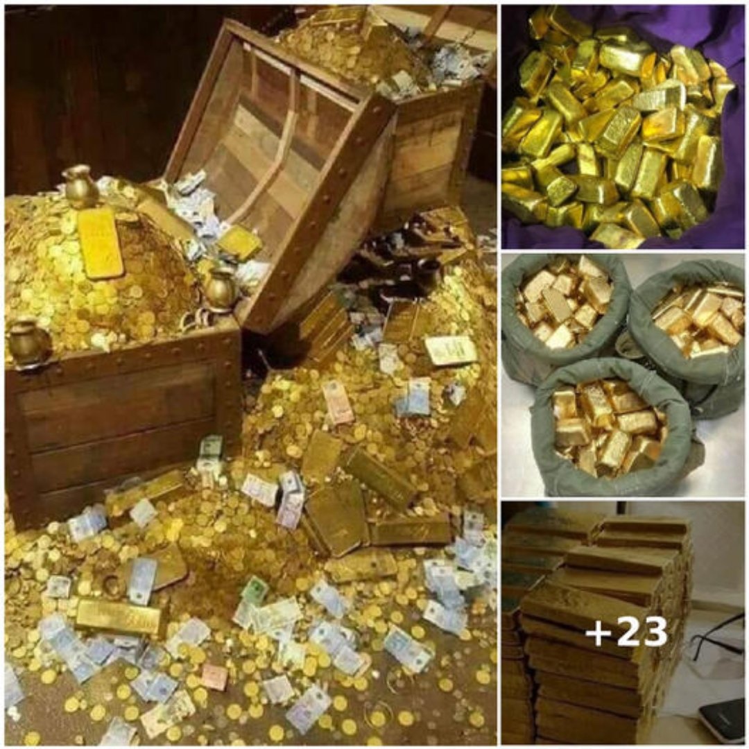 Modern-Day Treasure Hunts: Hidden Hoards and Buried Troves Keep ...