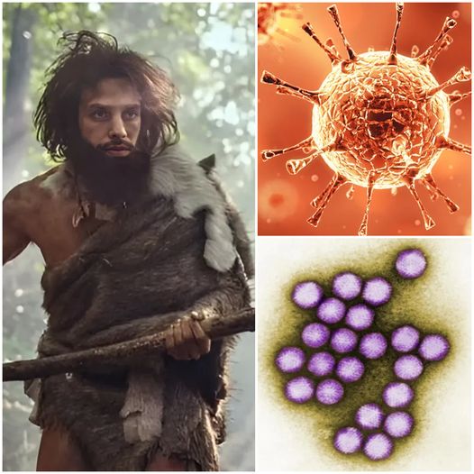 Hot news: “Ancient epidemic” Scientists discovered the oldest human ...