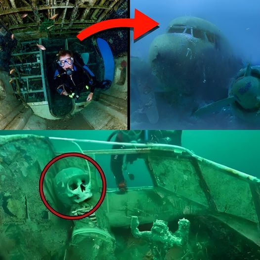 Breaking News: Mysterious Missing Plane with Intact Pilot’s Skeleton ...