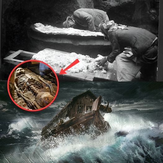 New Uncovering the mystery of ‘Noah’: The survival story of an ancient ...