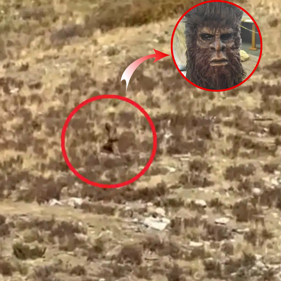 Frozen Giant Footprints and Toenails Revealed in Newly Released Video ...