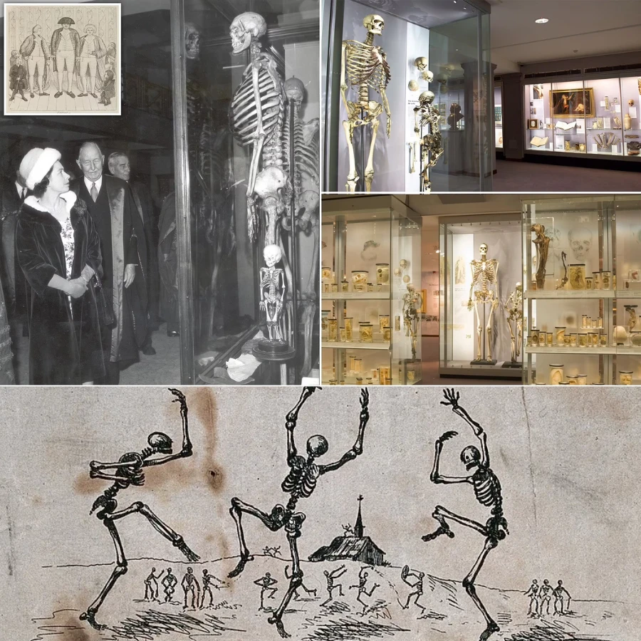 Why must the fate of the Irish Giant skeleton 'endure disgrace' and be ...
