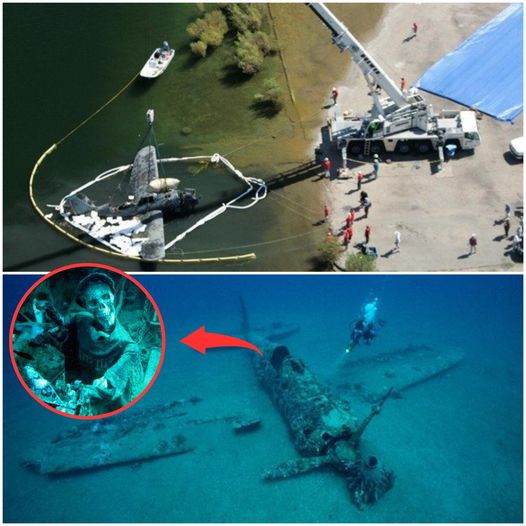 Breaking: Discovery of Missing Helldiver Plane’s Skeleton in Lower Otay ...