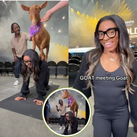 Simone Biles Surprised With Actual Goat At Gold Over America Tour With ...