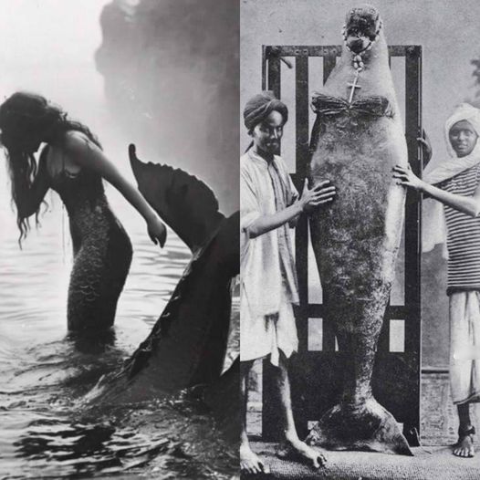 Shocking documentary proves that mermaids do exist . - News