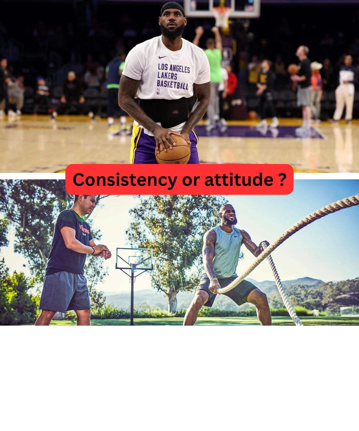 The one big thing LeBron James learned from his longtime trainer - News