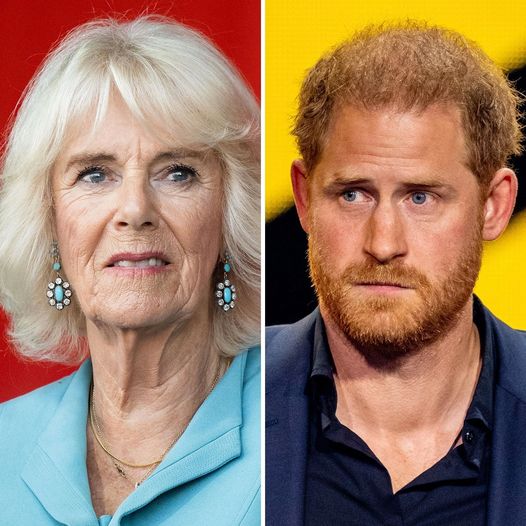 Queen Camilla ‘outraged’ after Prince Harry’s visit to see his father ...