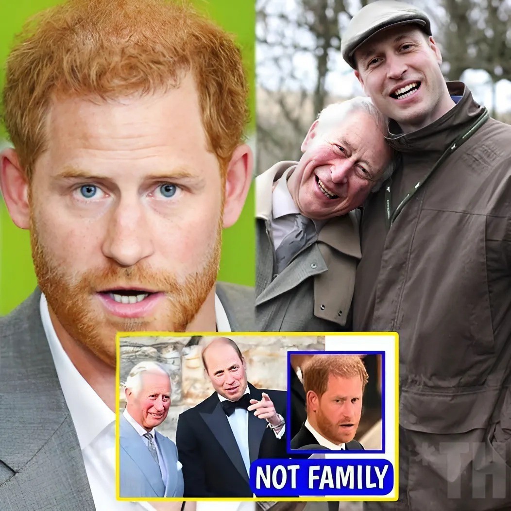 YOU’LL NEVER BE FAMILY! King Charles And William REFUSE To Reconcile ...