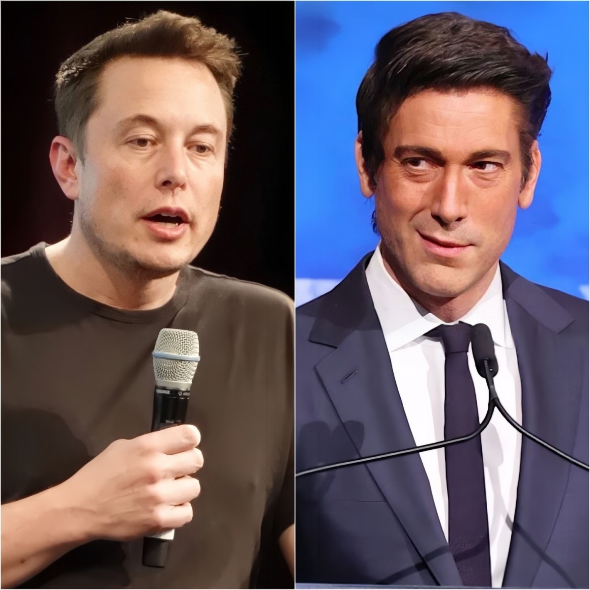Elon Musk Plans Bold ABC Takeover Targeting David Muir And Other ...