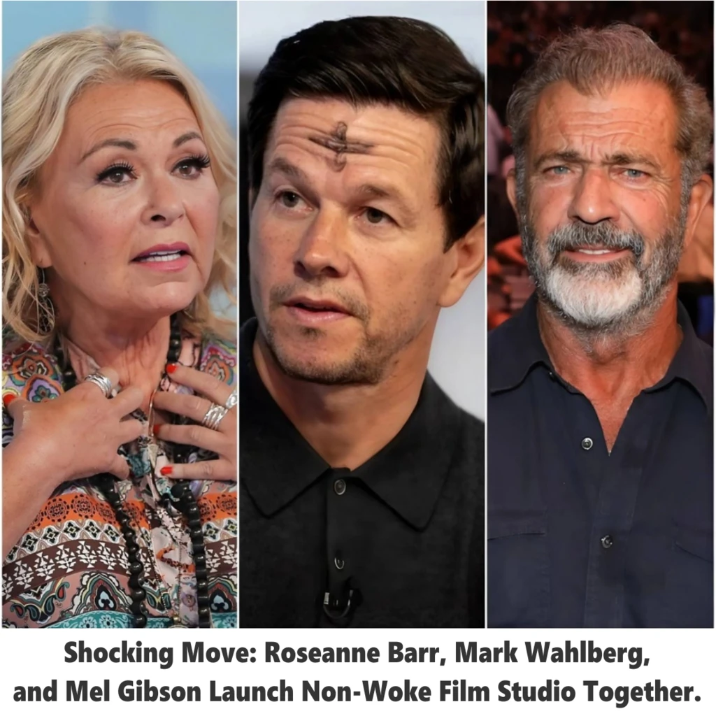 Shocking Move: Roseanne Barr, Mark Wahlberg, and Mel Gibson Launch Non ...