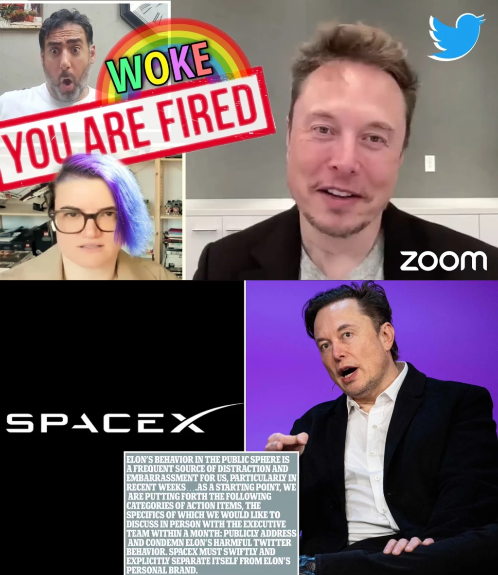 Elon Musk fires WOKE employees in twitter meeting DUB - News