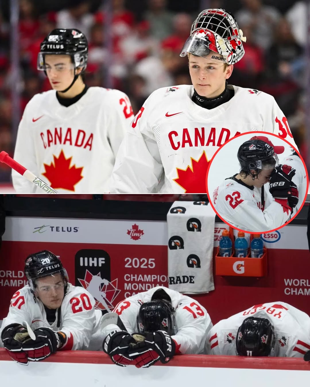 Hockey Canada VP Scott Salmond paints a woeful behind-the-scenes ...