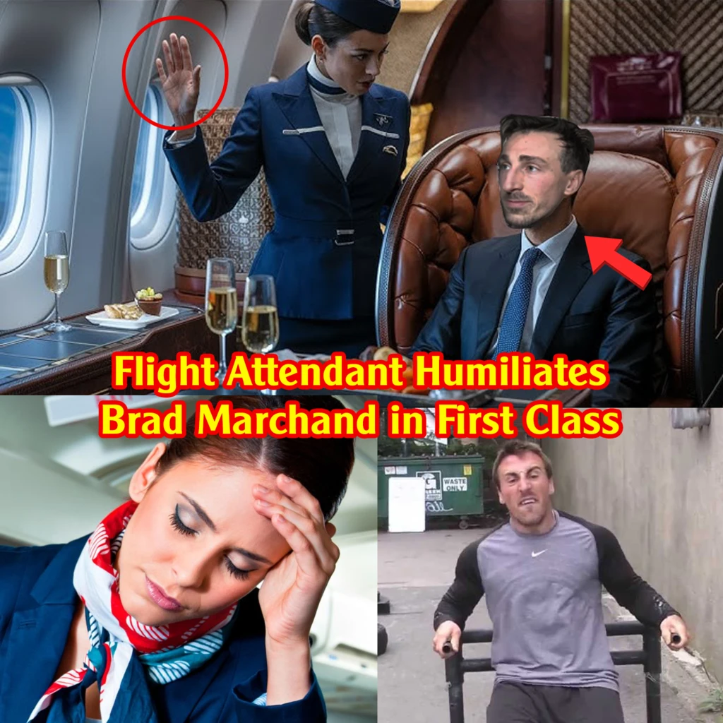 Flight Attendant Humiliates Brad Marchand in First Class - Her 4-word ...