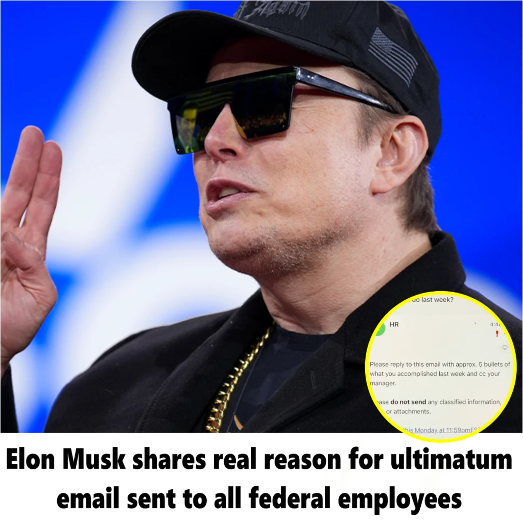 Elon Musk shares real reason for ultimatum email sent to all federal ...