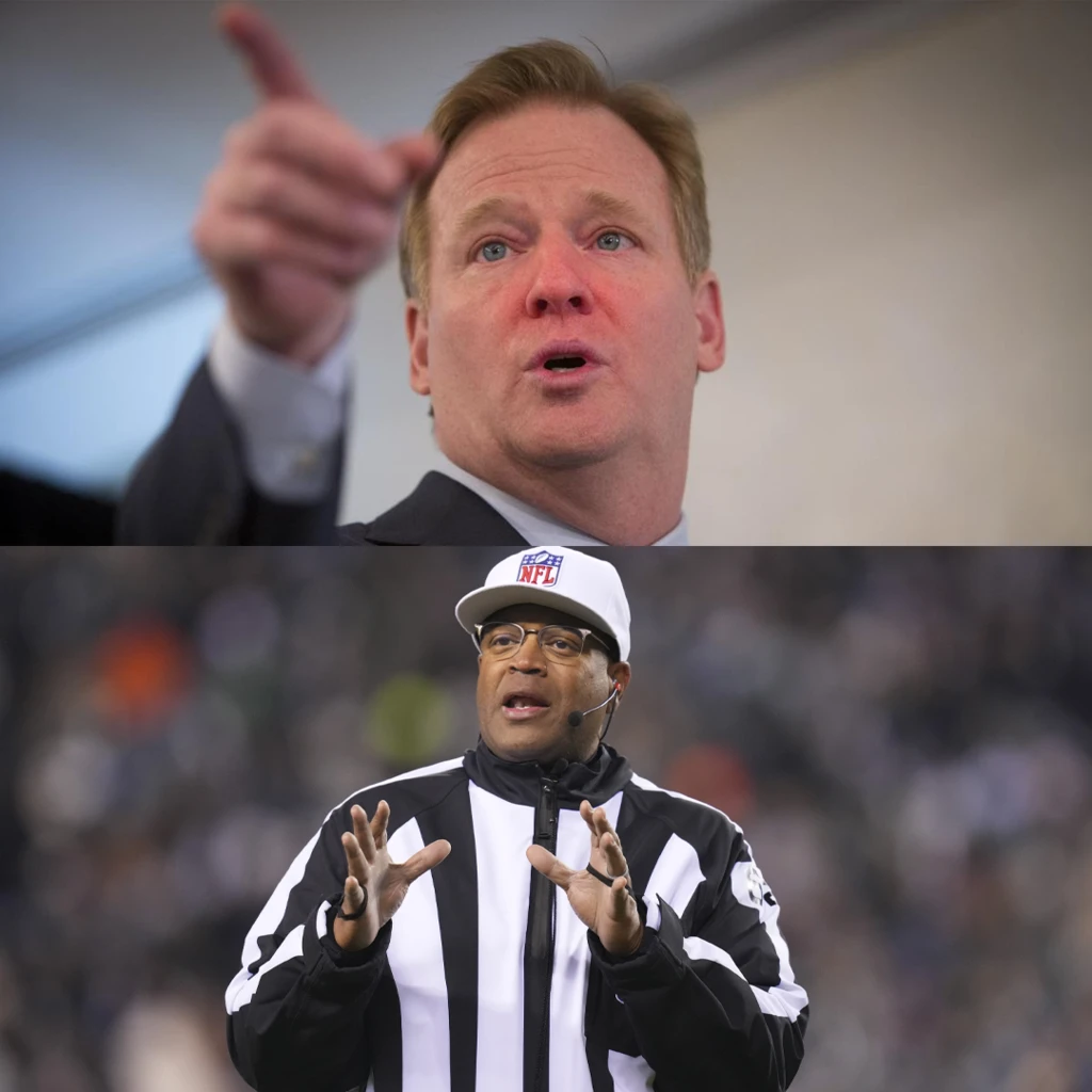 NFL General Manager Roger Goodell has applied the highest fine in NFL ...