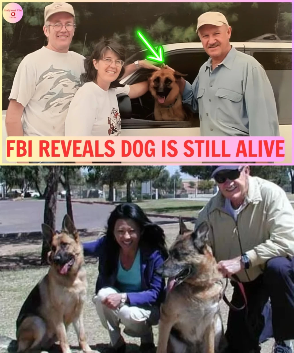 FBI Uncovers Shocking Clues in Mysterious Death – Gene Hackman’s Dogs ...