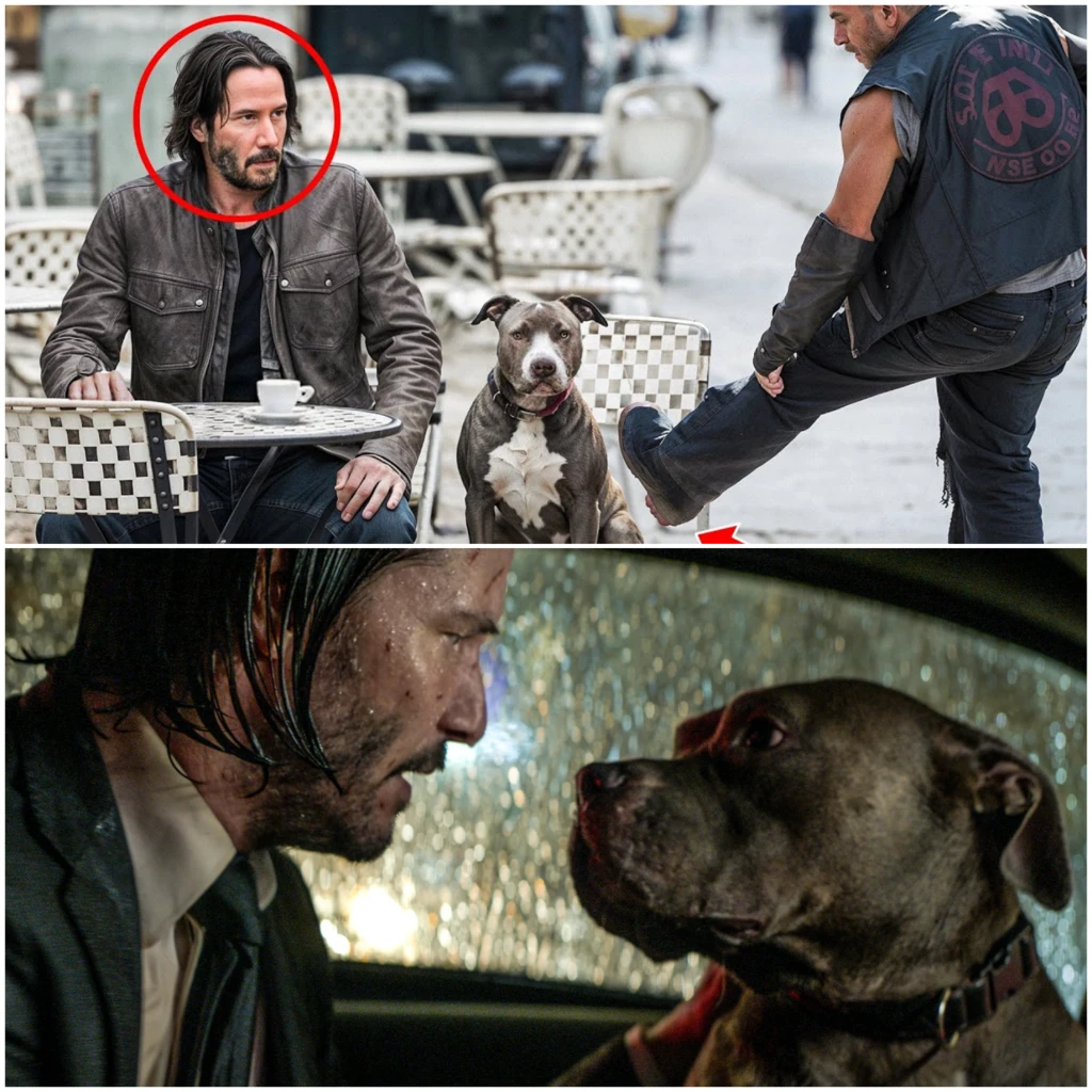 Ruthless Biker Kicked a Dog for Fun, Unaware Keanu Reeves Is the Owner ...