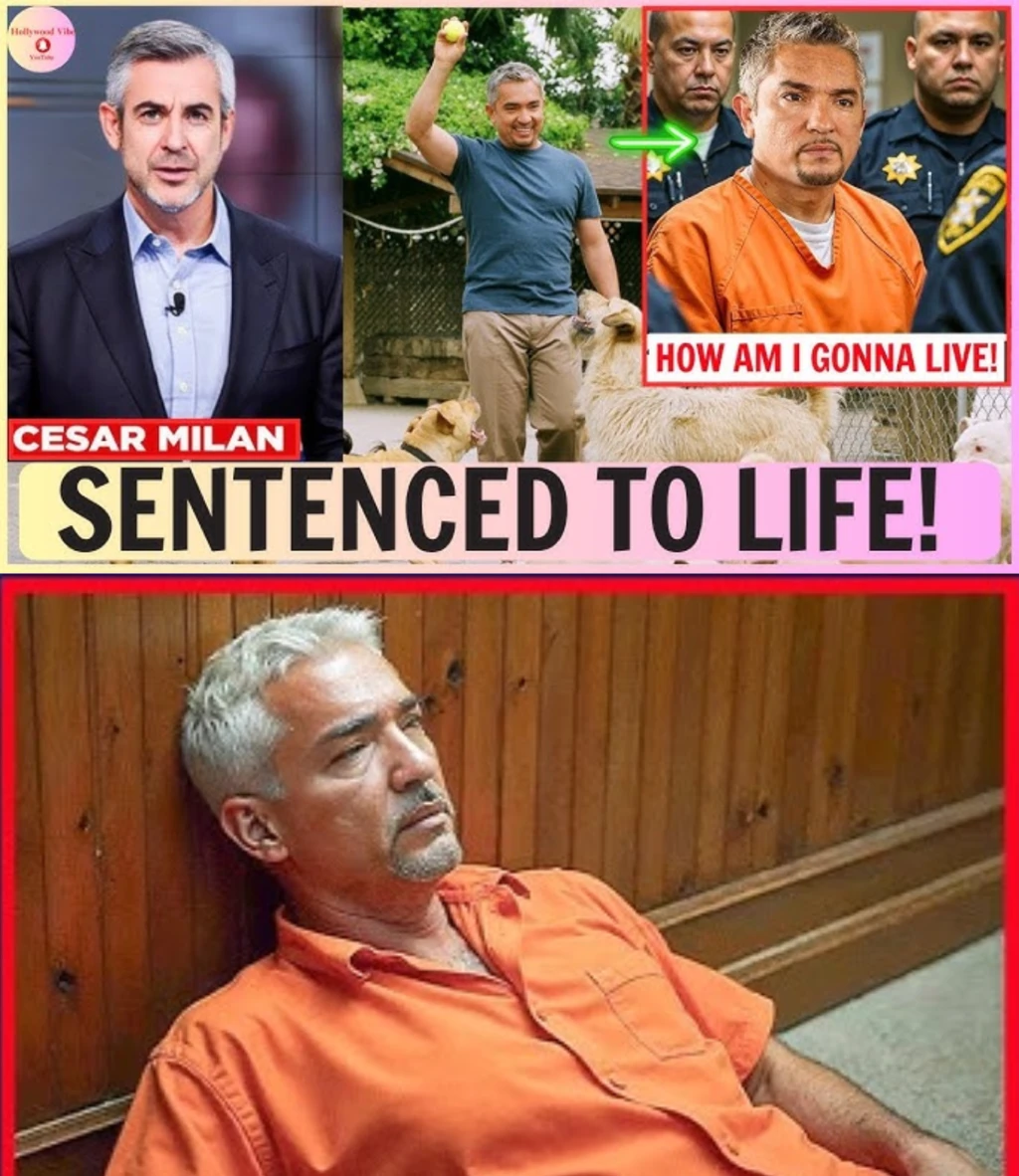 Cesar Millan Behind Bars for Life – What Really Happened? - News