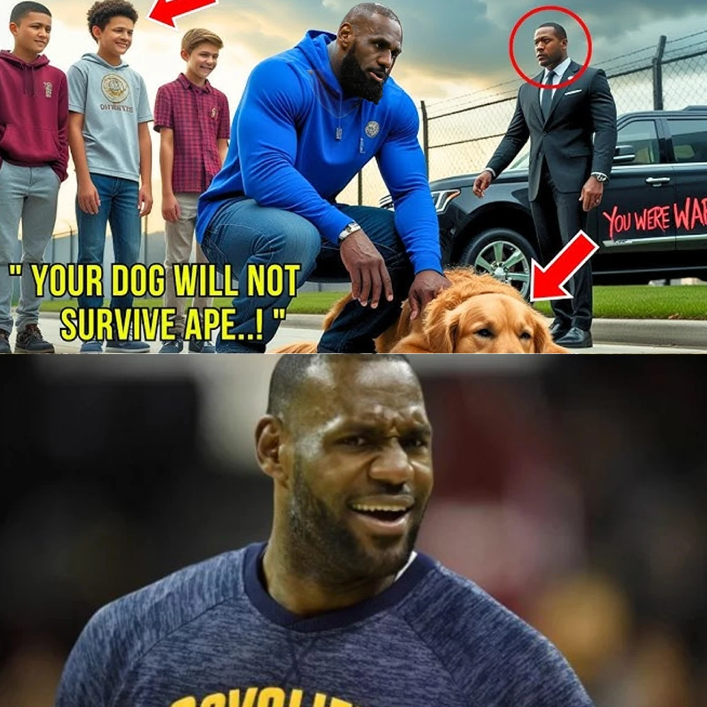 Racist Bullies Stomp On LeBron James's Dog, Freeze When He Call The ...