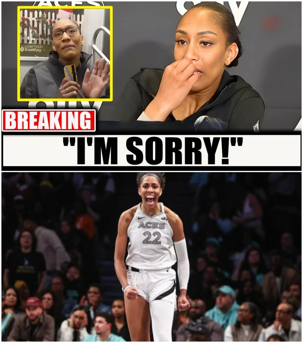 Will A'ja Wilson's CAREER SURVIVE the WNBA Fan Backlash Wave? - News