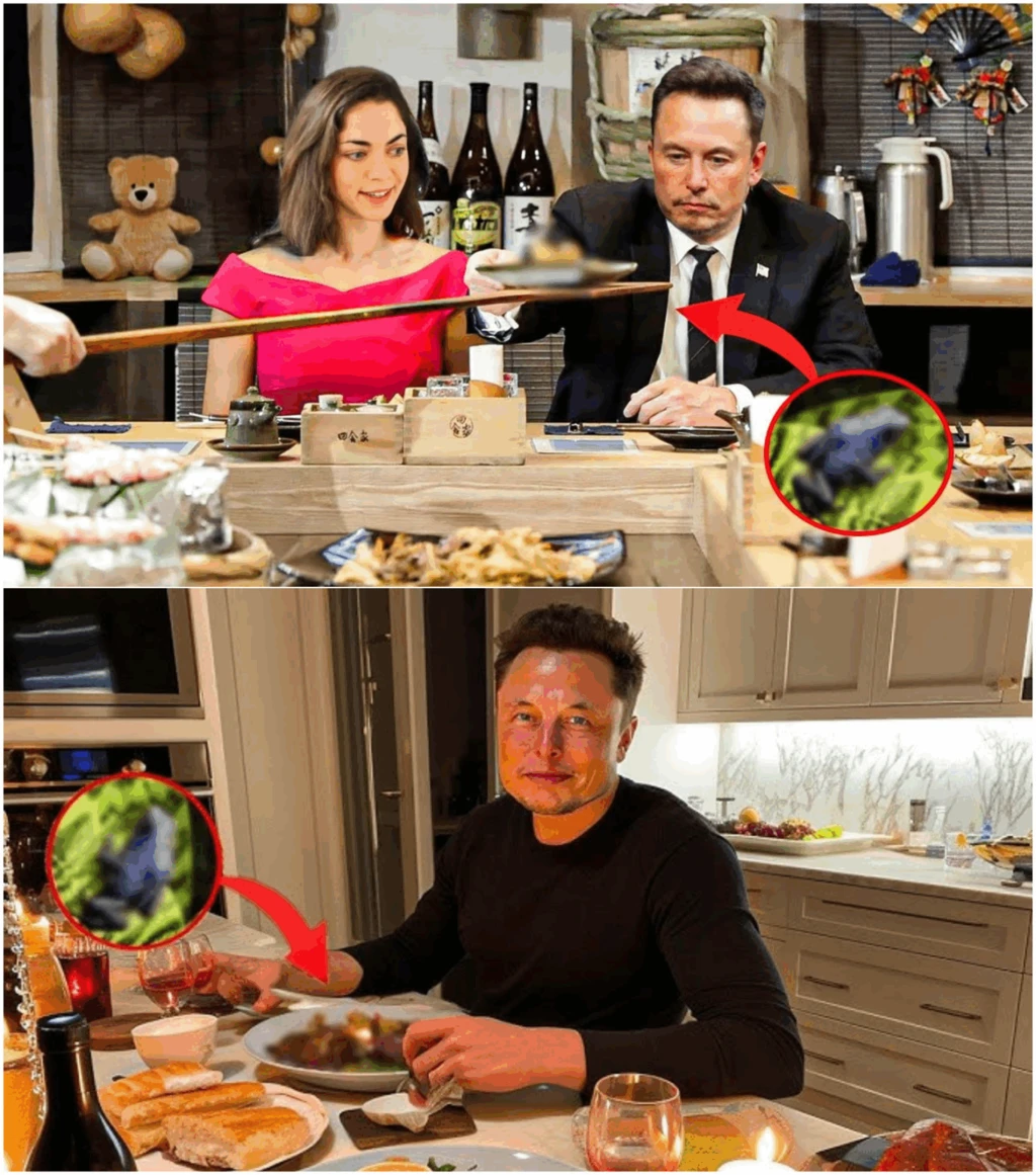 Inside Elon Musk’s Daily Diet: What He and His Family Really Eat - News