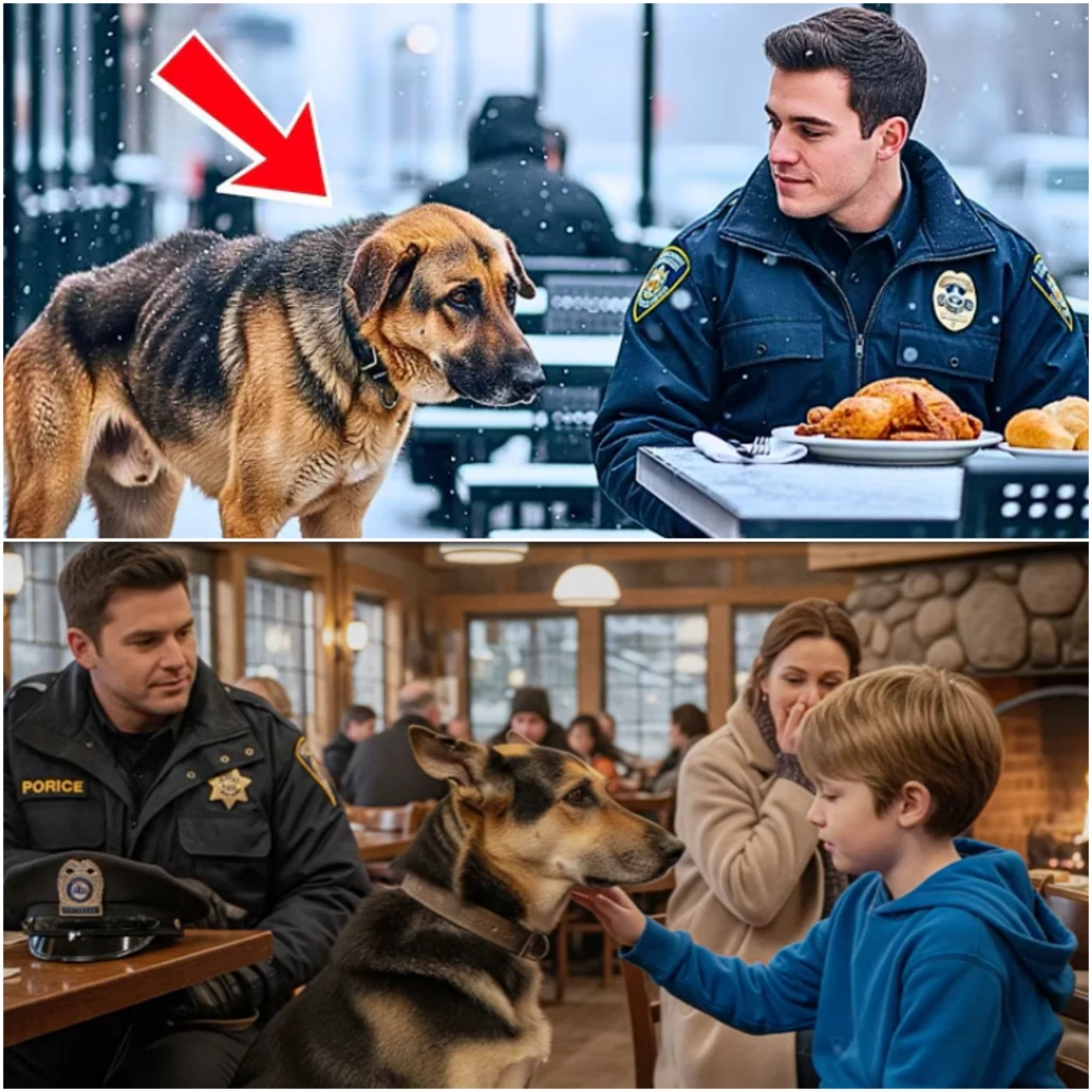 A Starving Dog Looked at the Officer Seemed to Say 'Can I Eat with You ...