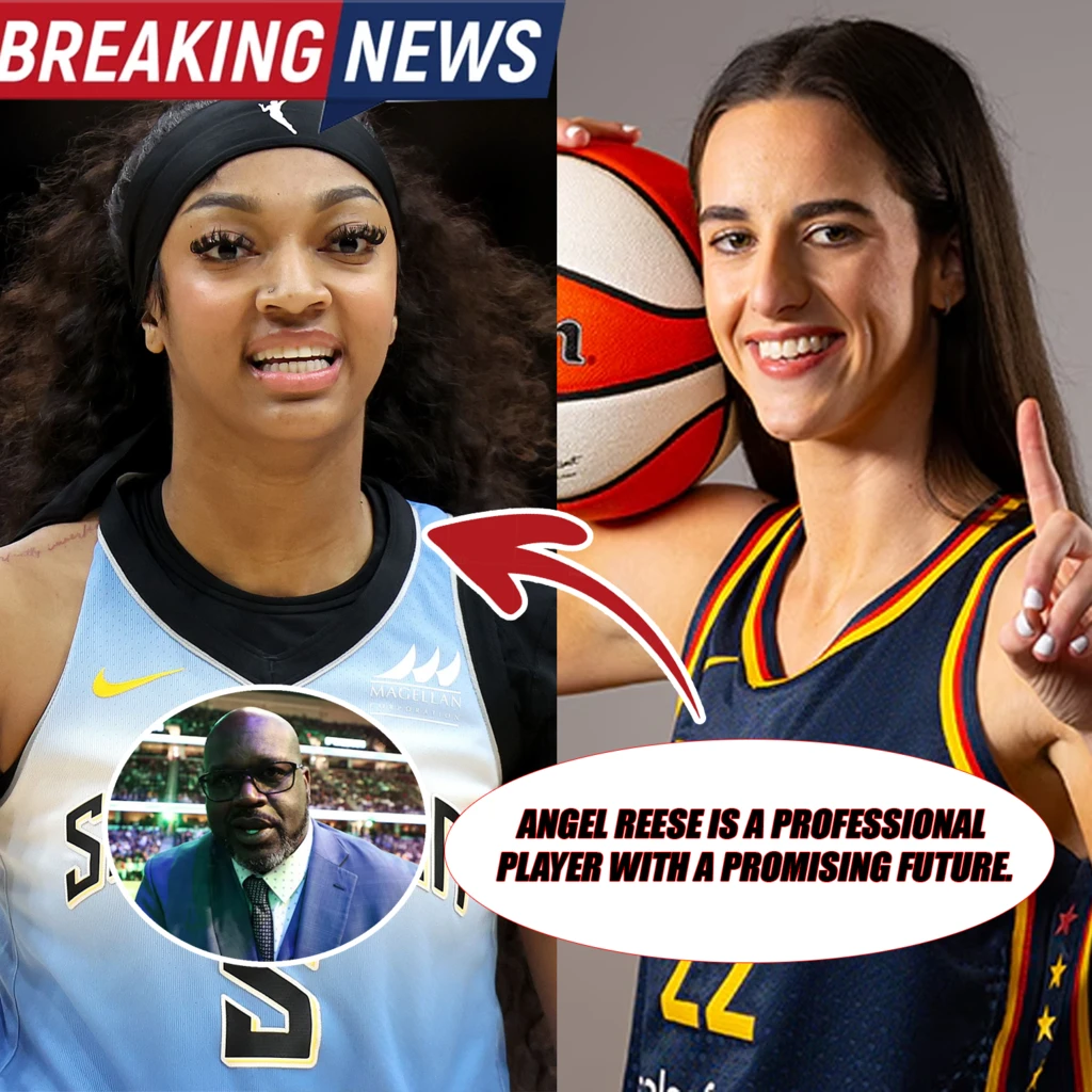 DEVASTATING NEWS: WNBA Halts Contract with Angel Reese After ...