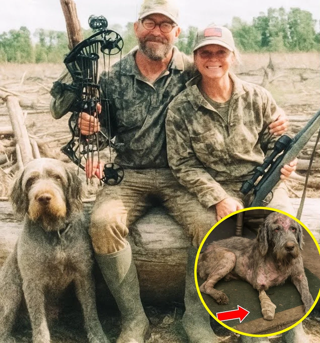 🚨COUPLE VANISHES ON HUNTING TRIP — 2 YEARS LATER, THEIR DOG RETURNS ...