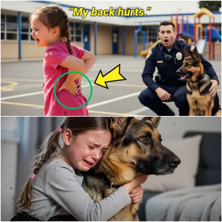 Little Girl Whispers About Her Back Pain — Police Dog Senses Her Silent ...