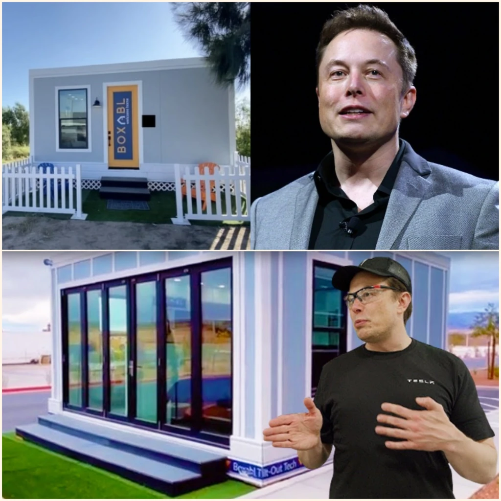 Elon Musk Sells All Seven Mansions to Live in a $50,000 Tiny Home—A ...