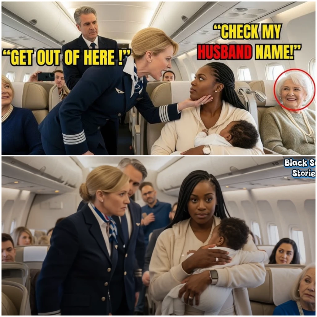 Flight Attendant Slapped Black Mom holding Baby — Didn’t Know Her ...