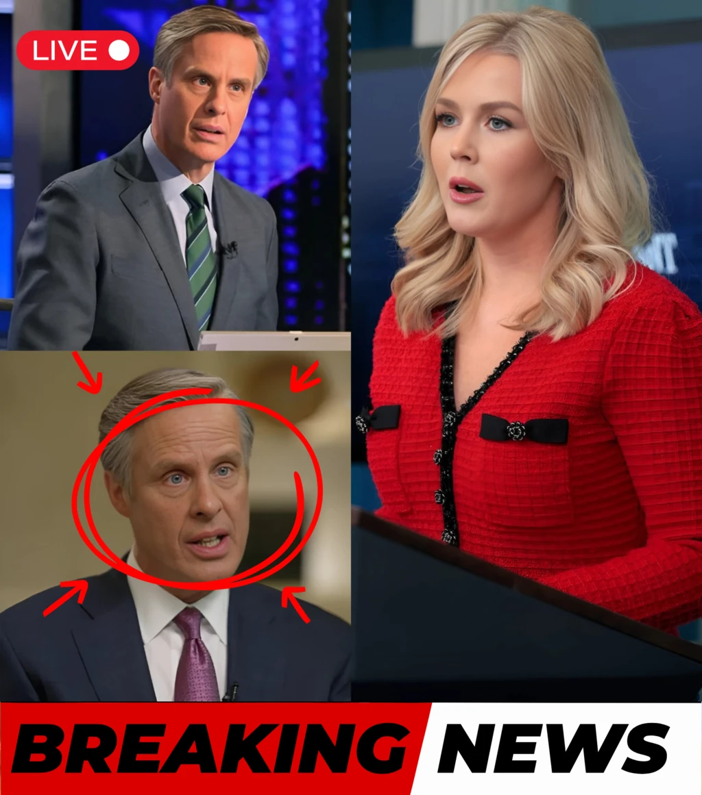 “BREAKING NEWS: ABC News Anchor SUSPENDED After Karoline Leavitt ...