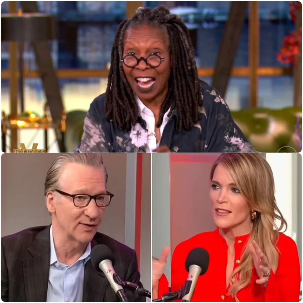 Bill Maher & Megyn Kelly HUMILIATE Whoopi Goldberg and The View Hosts ...