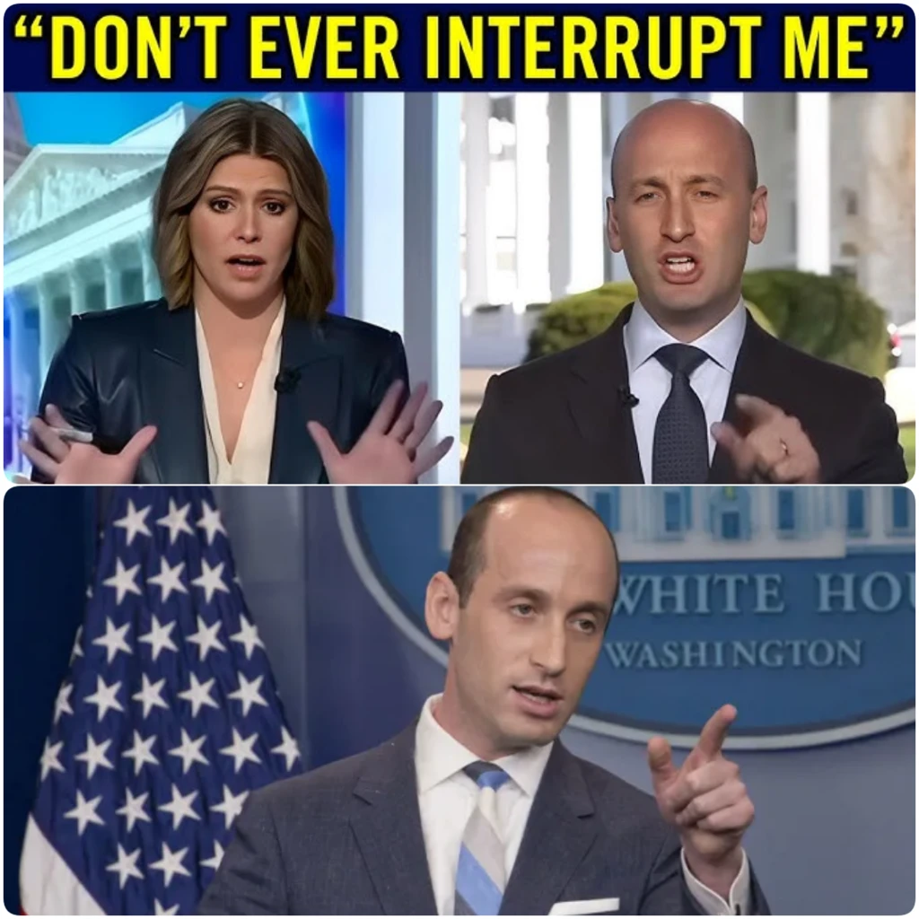 CNN Host Left Speechless After Interrupting Trump Aide’s Brilliant ...
