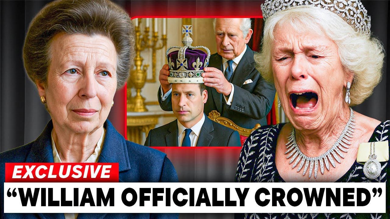 “Princess Anne Backs King Charles’s Shocking Move—Camilla Furious as ...