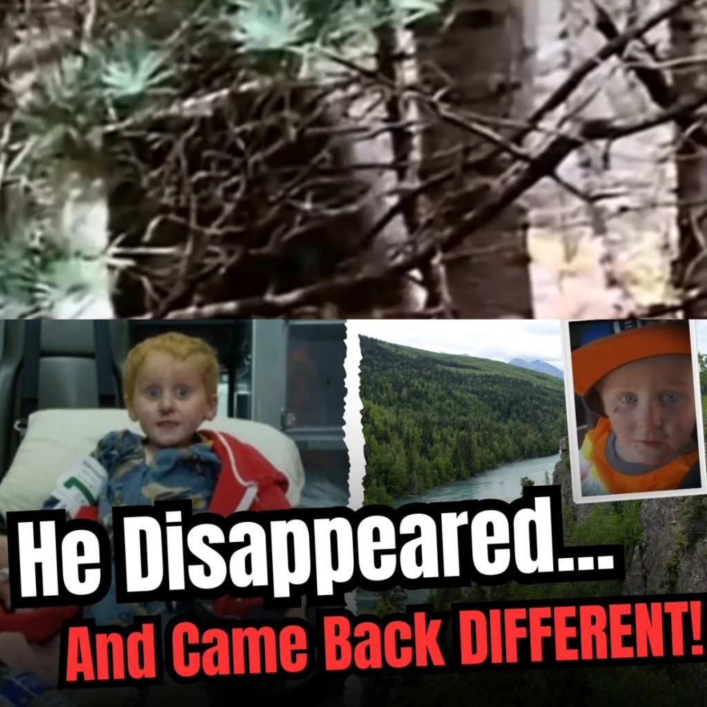 The Blue-Eyed Stare: What did Riker Webb see in the forest that changed ...