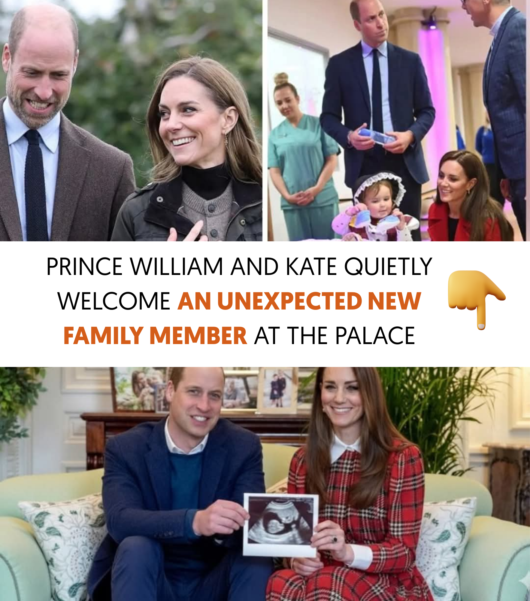 PRINCE WILLIAM AND KATE QUIETLY WELCOME AN UNEXPECTED NEW FAMILY MEMBER ...