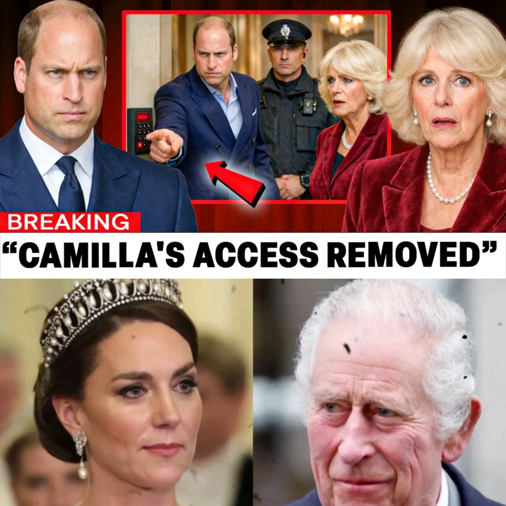 "The Fall of a Queen: Camilla's Access Codes Revoked by Prince William ...