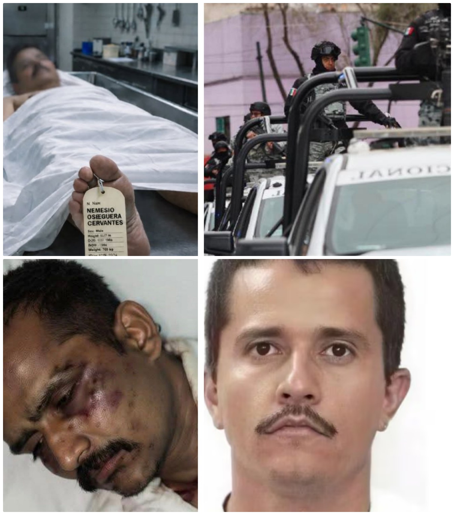 SHOCK REVEAL: MEXICO’S DRUG KINGPIN El Mencho MAY STILL BE ALIVE — DNA ...