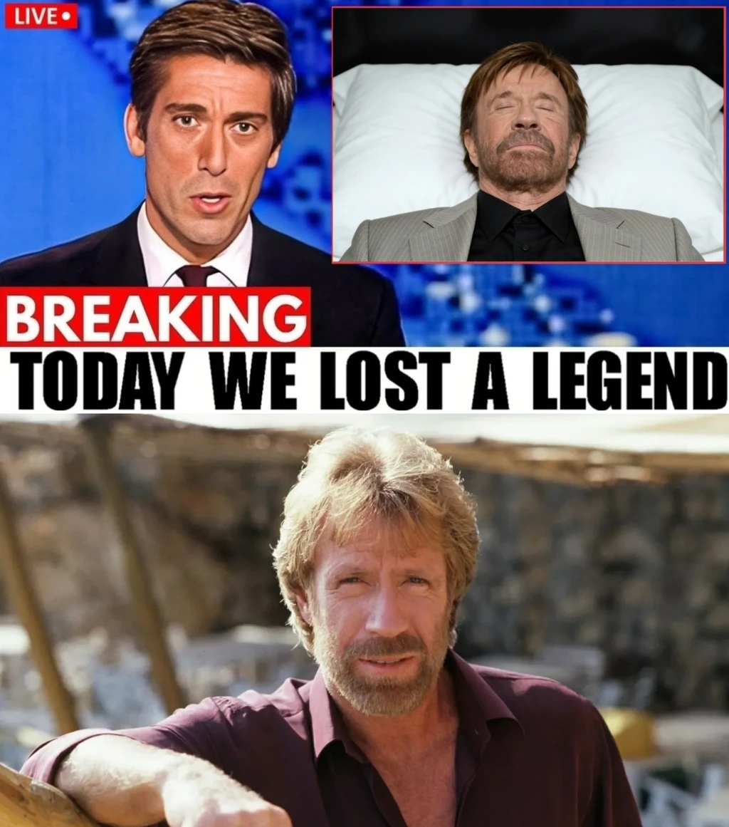 Chuck Norris What REALLY Happened ★ Cause of Death Rumors, Lifestyle ...